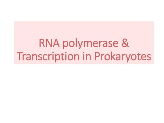 Post Transcriptional Modification Pptx Chemistry Science