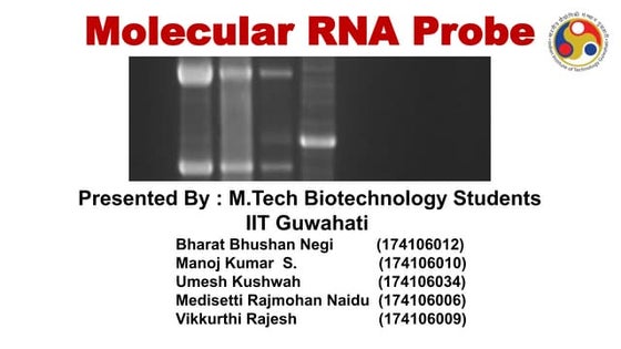 Fluorescent in situ hybridization (FISH) | PPT