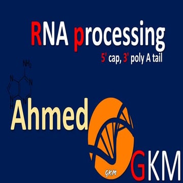 Rna Processing Ppt