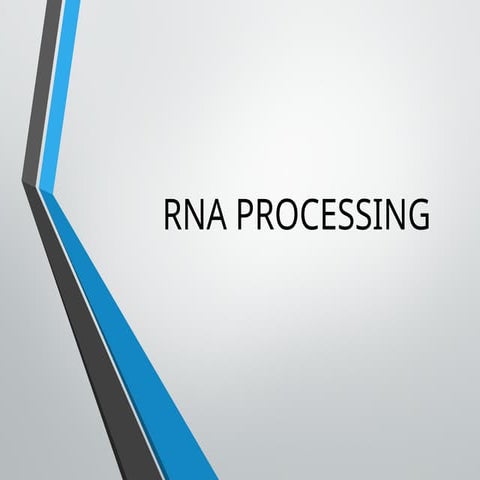 rna processing.pptxjvhcghchvjkbfuvhjvnhcvhnchbvmnj | PPT | Free Download