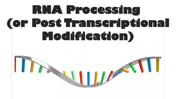 Post transcriptional modification | PPTX | Chemistry | Science