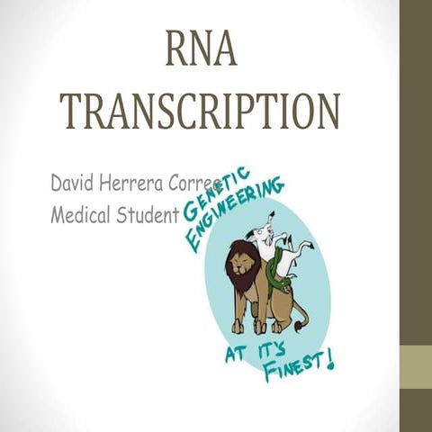 RNA transcription | PPTX