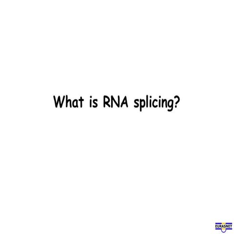 Rna splicing | PPT