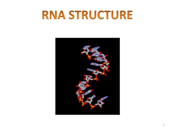 RNA- Structure, Types and Functions | PPTX