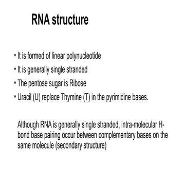 RNA structure, types and function in the living system | PPTX