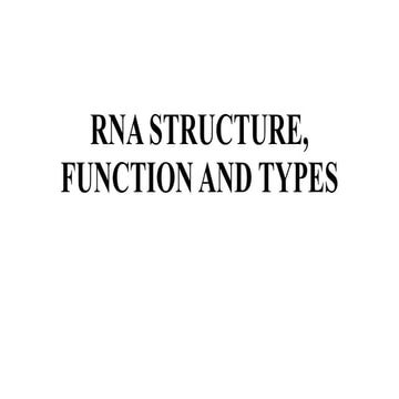 RNA STRUCTURE, FUNCTION AND TYPES. . pptx | PPTX