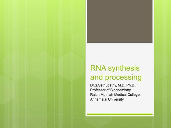 Rna synthesis | PPTX