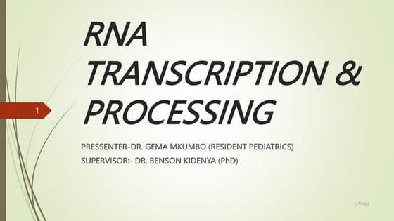 Transcription Presentation Central Dogma.pptx