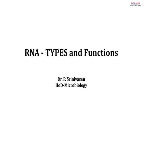 RNA Types and Functions.pptx