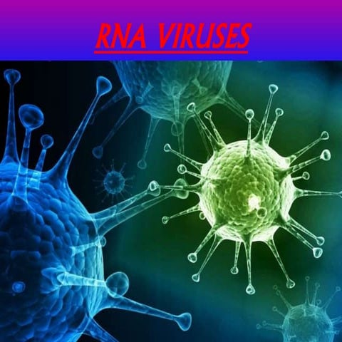 Rna viruses | PPTX