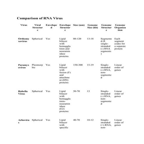 Comparison of RNA Viruses. docx | PDF