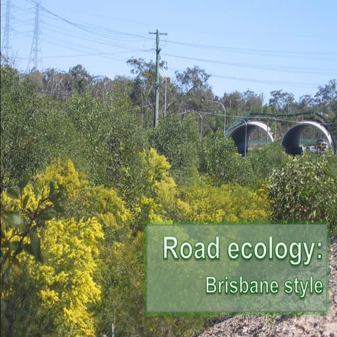 Road ecology presentation by Darryl Jones | PPT
