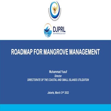 Roadmap for Mangrove Management | PDF