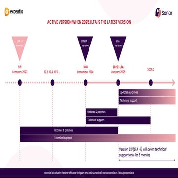 ACTIVE VERSION WHEN 2025.1 LTA IS THE LATEST VERSION | PDF