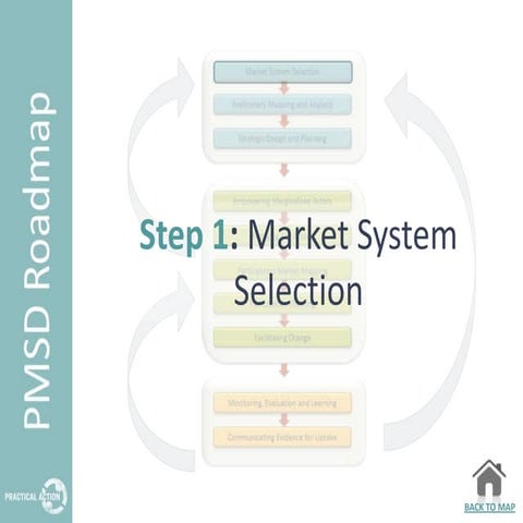 Step 1: Market System Selection | PDF