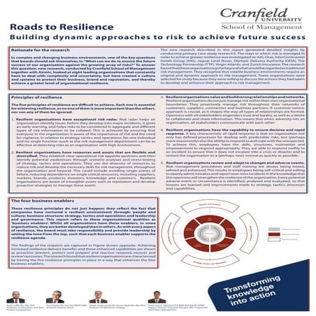 Roads to resilience: Building dynamic approaches to risk to achieve ...
