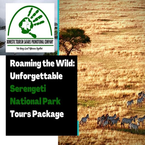 Kruger National Park Map | PDF