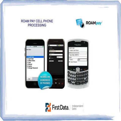 Roam Pay Presentation[1] | PDF