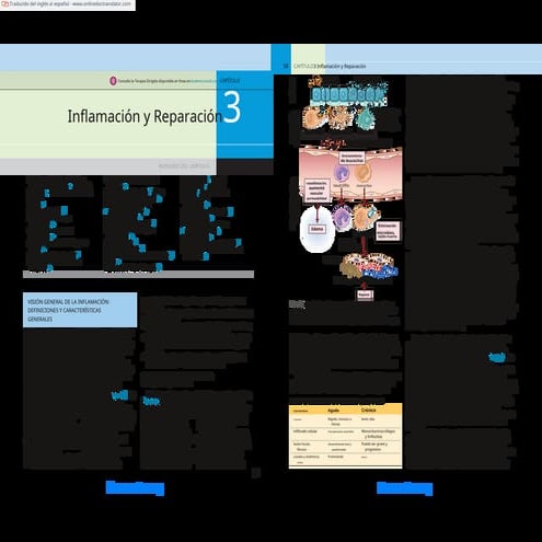Robbins Basic Pathology 10e CapÃ_tulo 3 inflamacion_compressed.en.es.pdf
