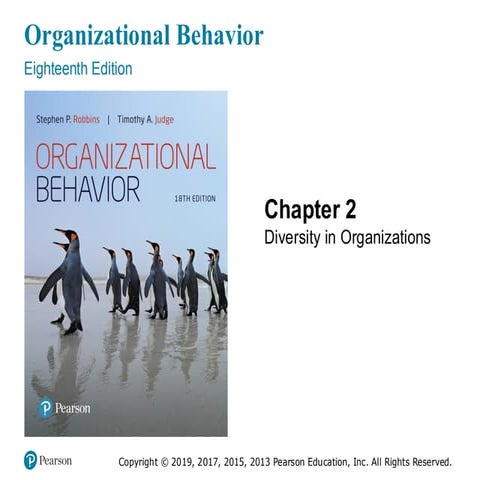 Diversity In Organizations, Chapter-2, Organizational Behavior | PDF