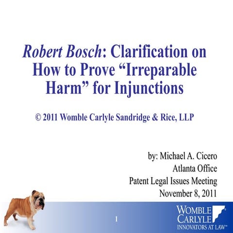 Robert Bosch case (Proving Irreparable Harm) | PPT
