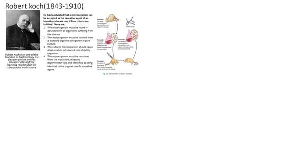 Contribution of Leeuwenhoek, Louis Pasteur, Robert Koch, Joseph Lister ...