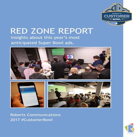 Customer Bowl Red Zone Report | PDF