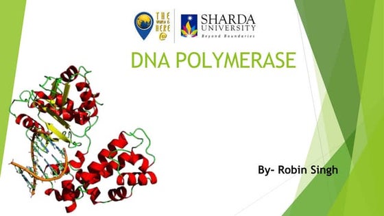 DNA Polymerase And RNA Polymerase .pptx