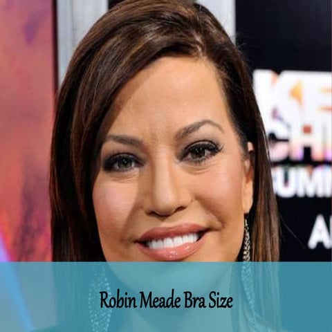 Robin Meade Before And After Plastic Surgery