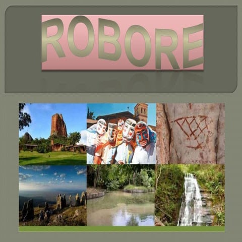 Turismo de robore | PPTX