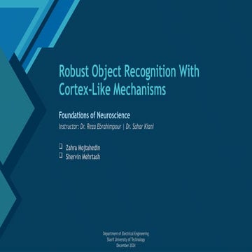 Robust Object Recognition With Cortex-Like Mechanisms | PPTX