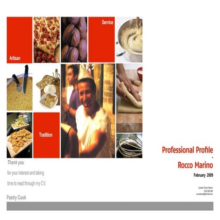 Rocco Marino Professional Profile | PDF