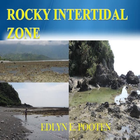 rocky intertidal zone for advanced ecology | PDF