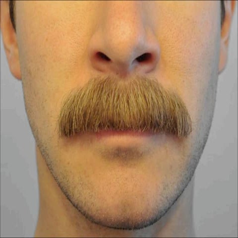 ROCK YOUR STACHE | PPT