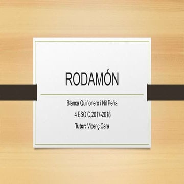 Associació Rodamón | PPT | Free Download