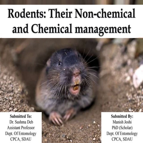 Rodents and their management | PPT