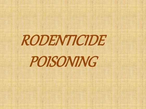 6-rodenticides.pptx