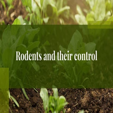 Rodents , their Characteristics, Types and Control Measures | PPTX