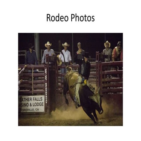 Rodeo photos 2 | PPTX