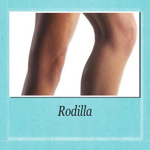 Rodilla | PPT