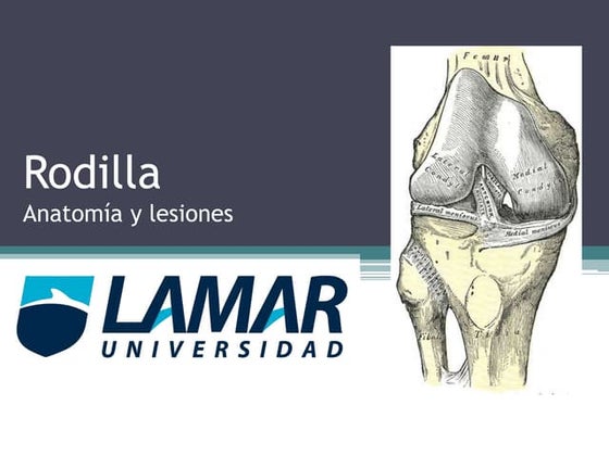 Arturo Lozano Valadez, Medico