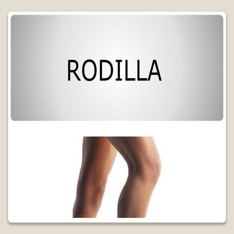 Rodilla | PPTX