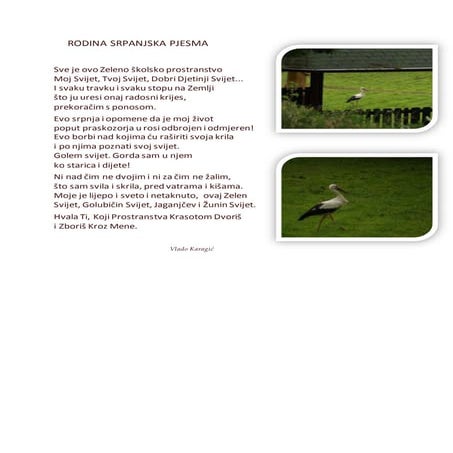 Rodina srpanjska pjesma | DOCX