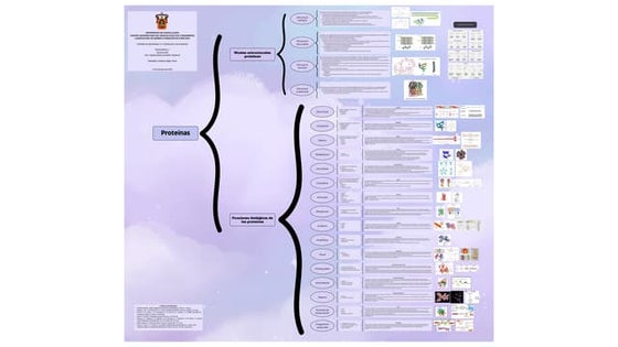 Mapa Conceptual de Proteinas | PPT