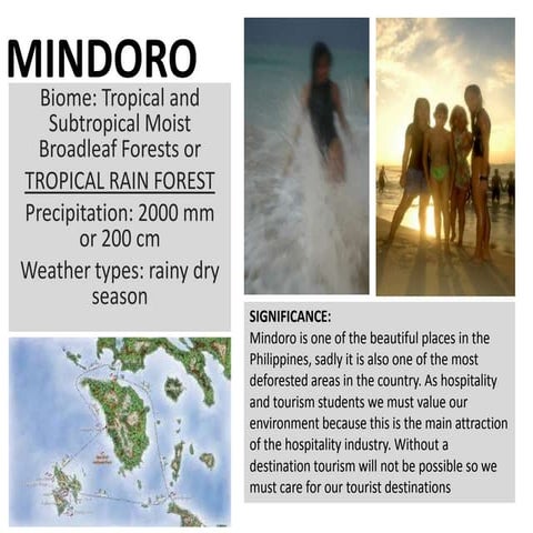 NATSC13 PBL: MINDORO | PPTX