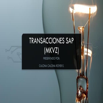 Roger - Transacciones MKVZ.pptx......... | PPTX