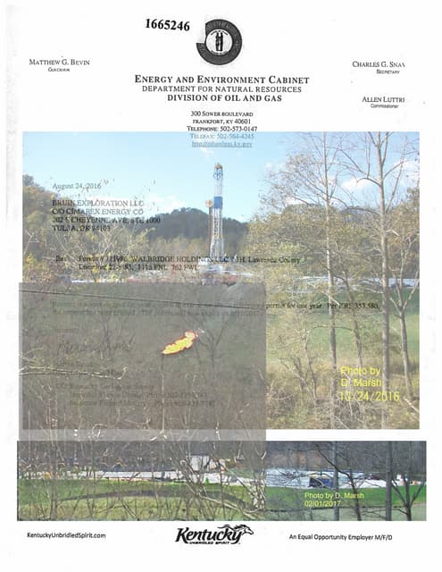 Eastern Kentucky Rogersville Shale Sourced Conasauga Oil And Gas Rates ...