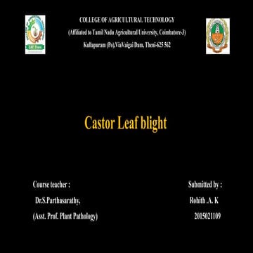 DISEASES OF CASTOR.pptx