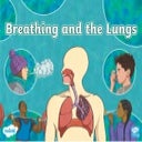 roi-sc-260-breathing-and-the-lungs-powerpoint_ver_6.pptx