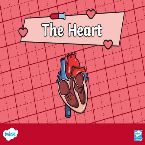 roi-stem-1705414696-the-heart-interactive-powerpoint_ver_2.pptx